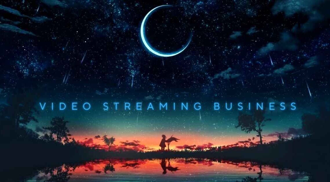 Starting a Video Streaming Business: Everything You Need